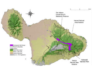 Kiwikiu - Maui Forest Bird Recovery Project